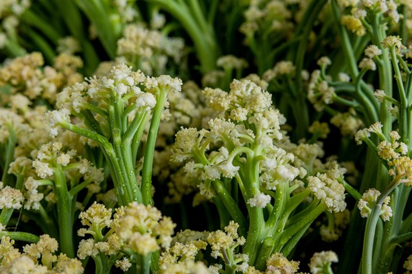 Netthandel | Bama Storkjøkken