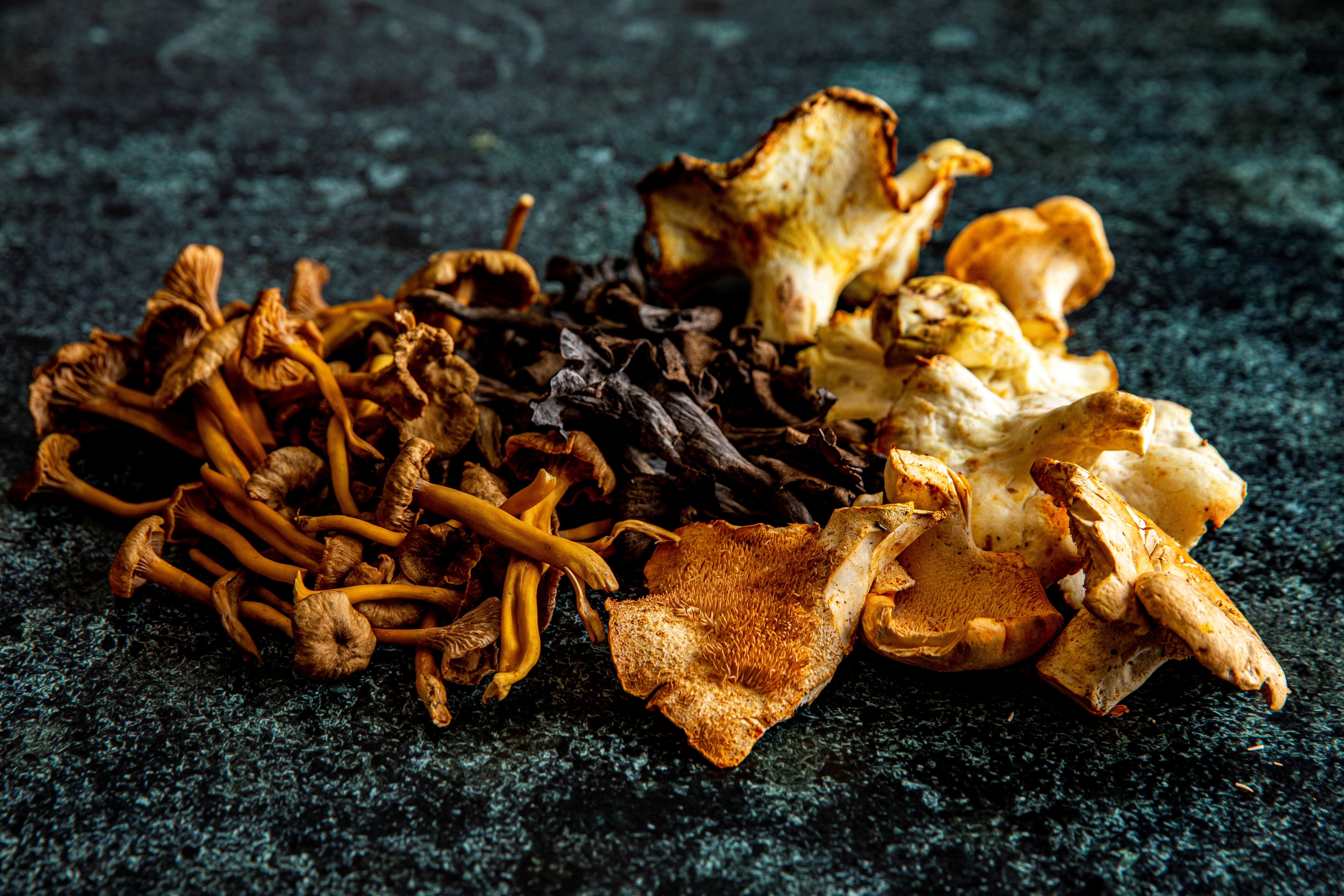 Soppsesongen er i gang for fullt | Bama Storkjøkken