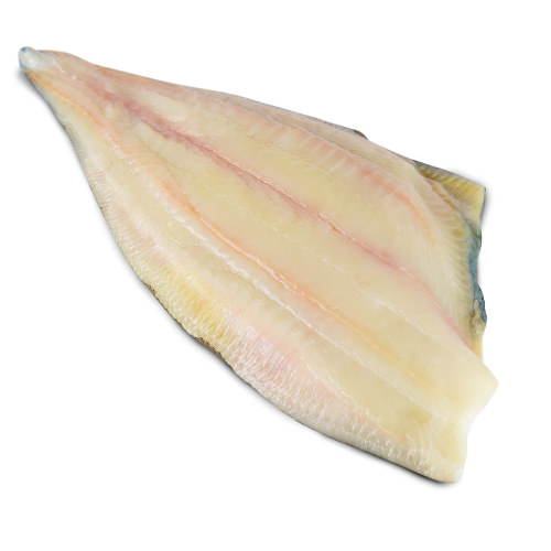 Kveitefilet Vill Dypfryst | Bama Storkjøkken