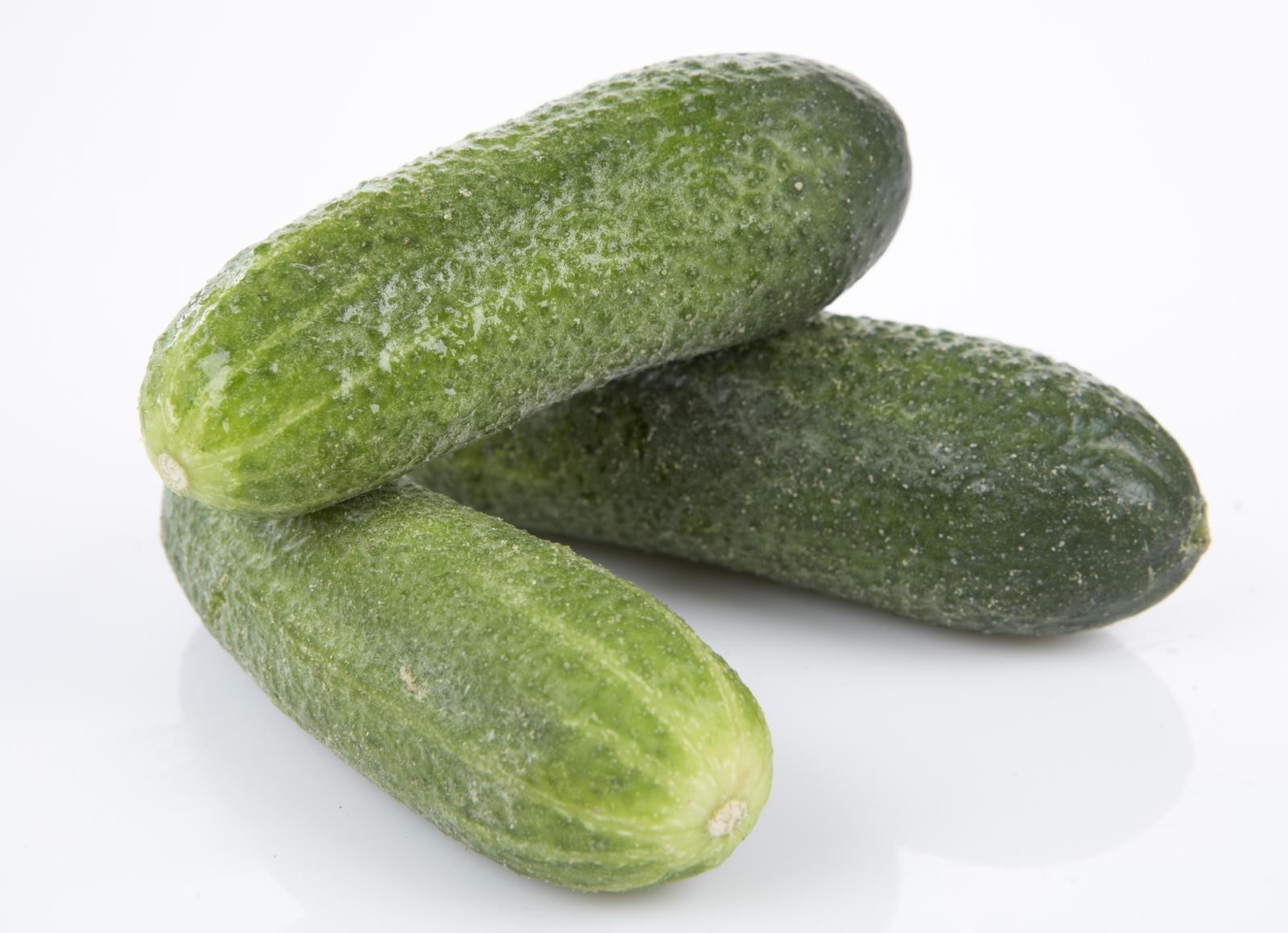 SYLTEAGURK MIDDELS | Bama Storkjøkken